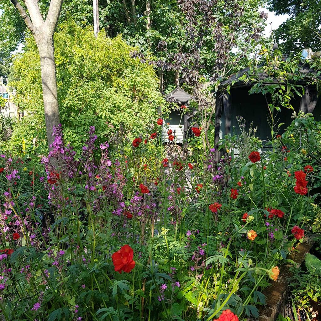 Community Gardens – Core Arts