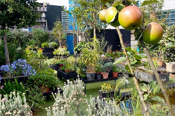 Core Landscapes – Core Arts